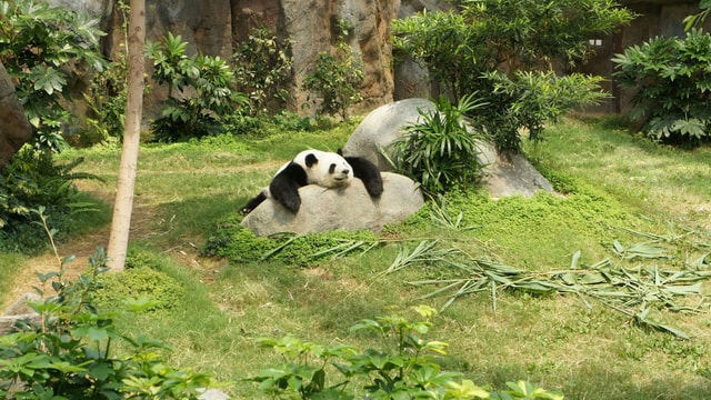 Lazy Loading React Components Without Sacrificing Type Safety